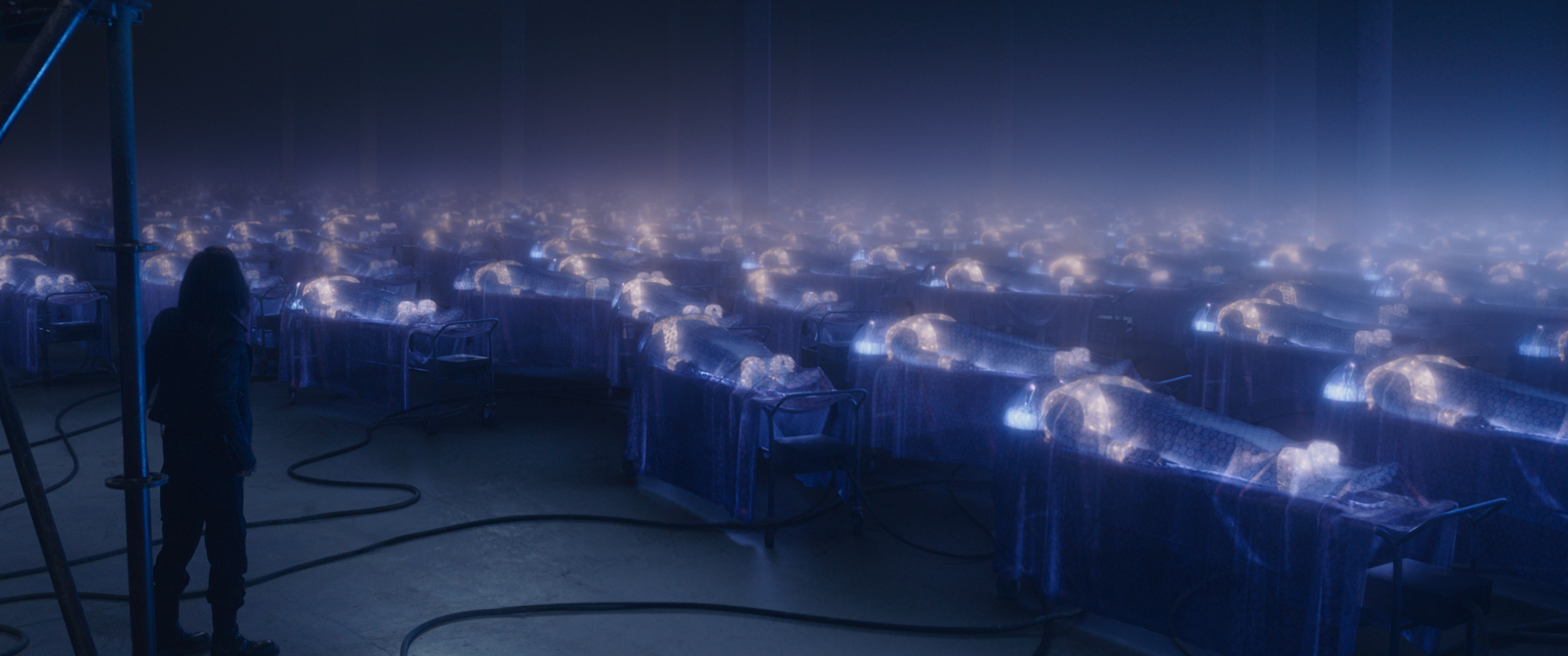 Sex english sex bp saw the ads for several for some time