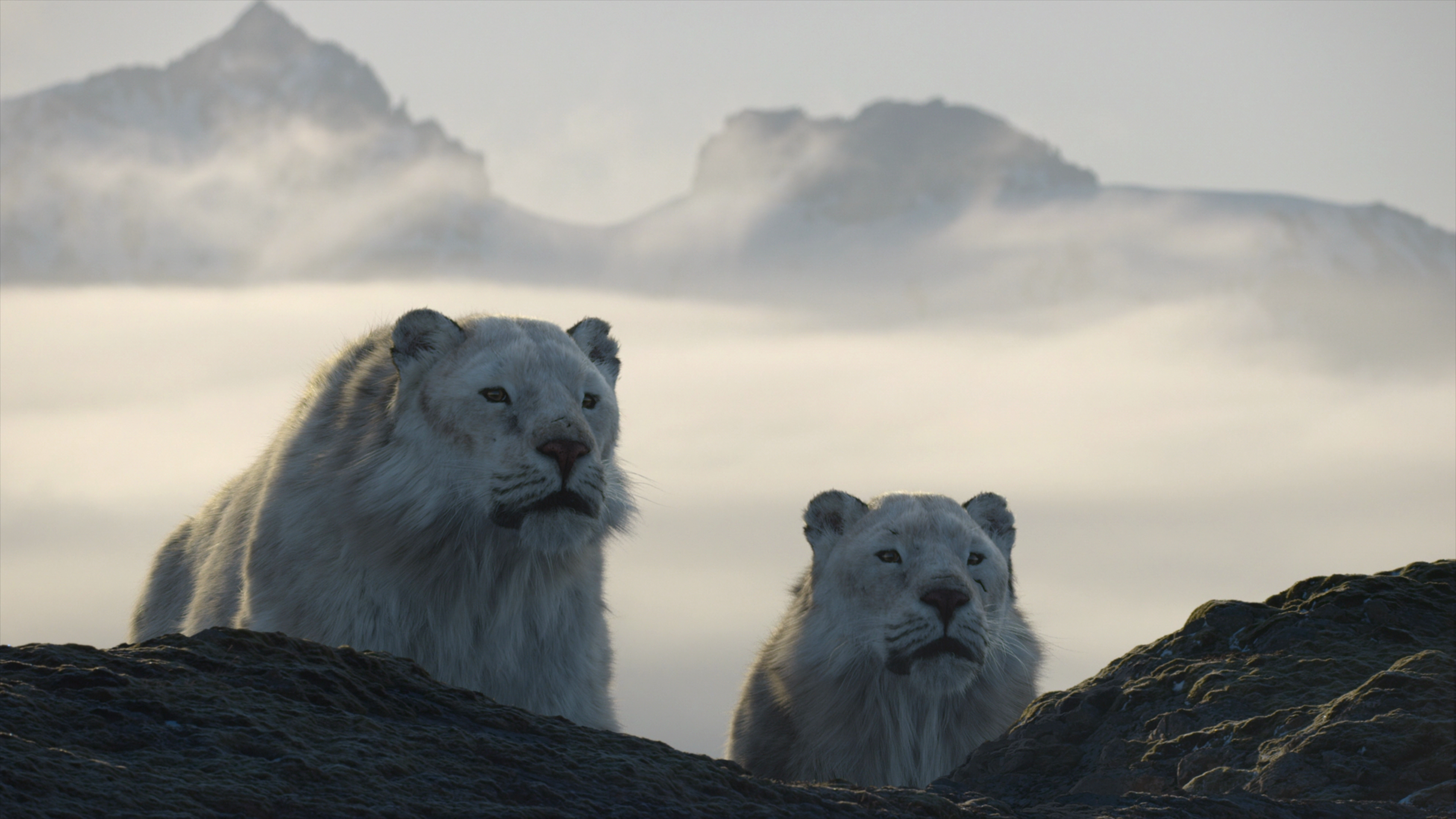 Recensie Netflix-serie 'Life on Our Planet' - SerieTotaal