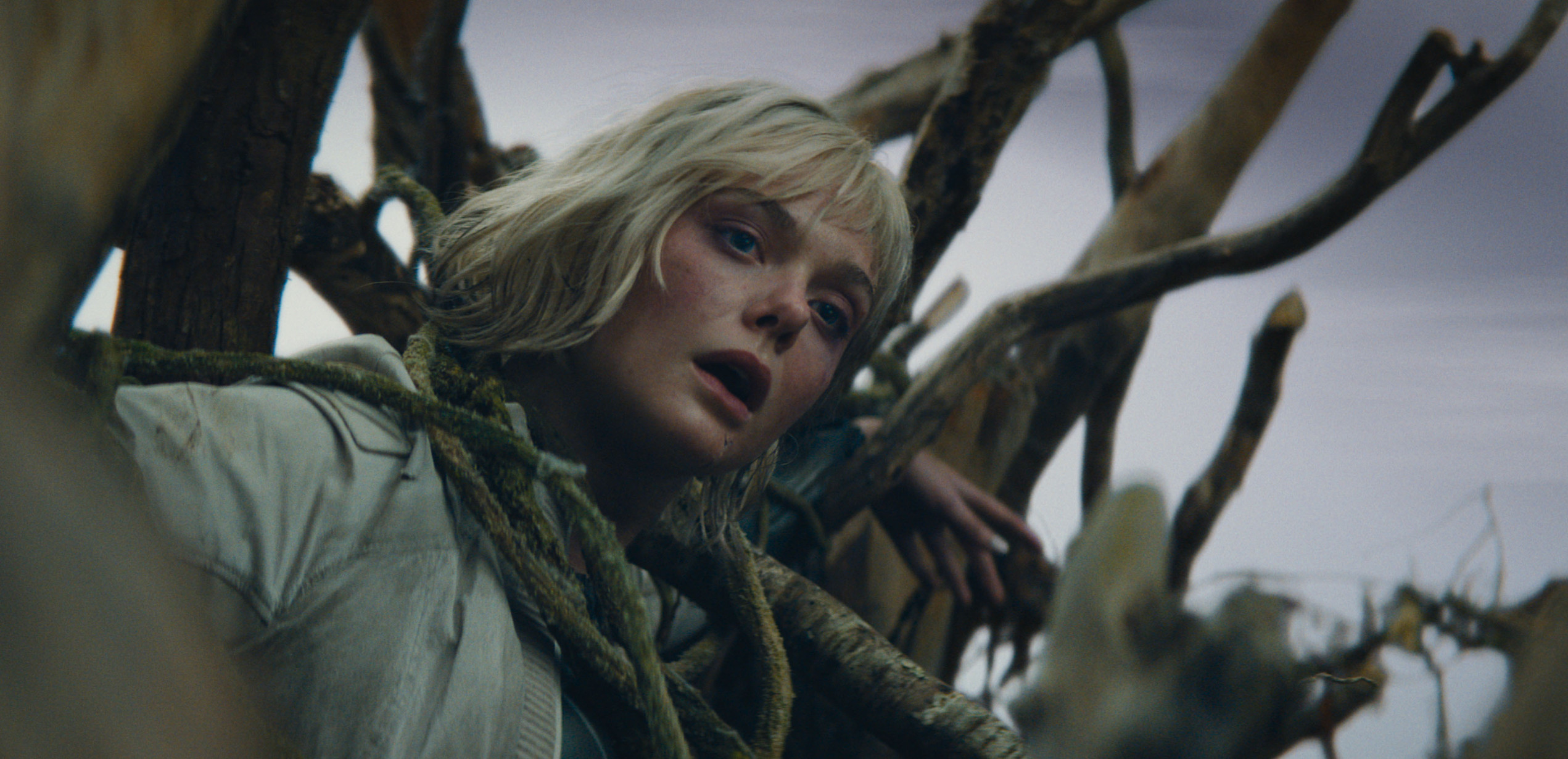 Thriller verovert Netflix, eerste online reacties op 'Predator Badlands ...