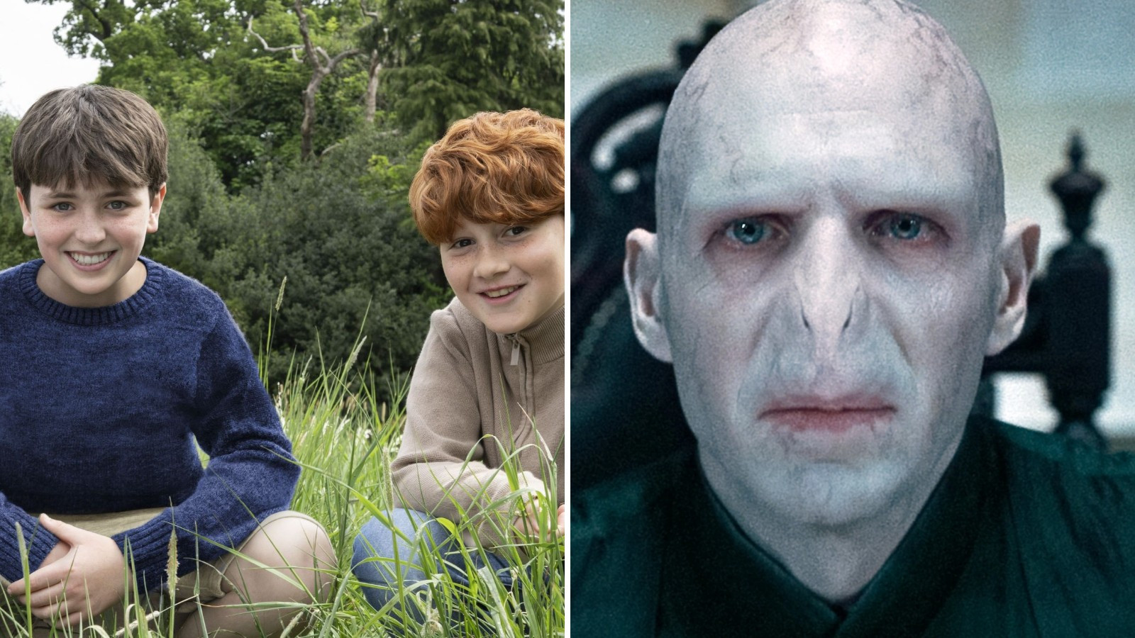 Casting van Voldemort in HBO’s ‘Harry Potter’ blijft tot het laatste ...