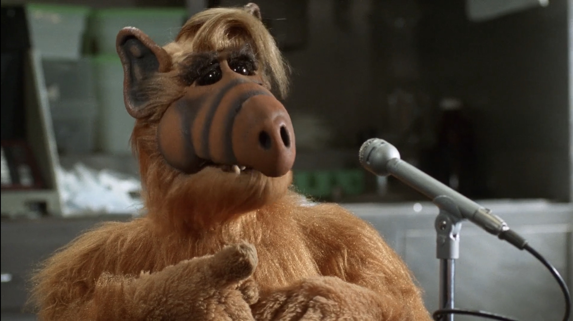 Dit opvallende detail over 'ALF' is iedereen compleet vergeten ...