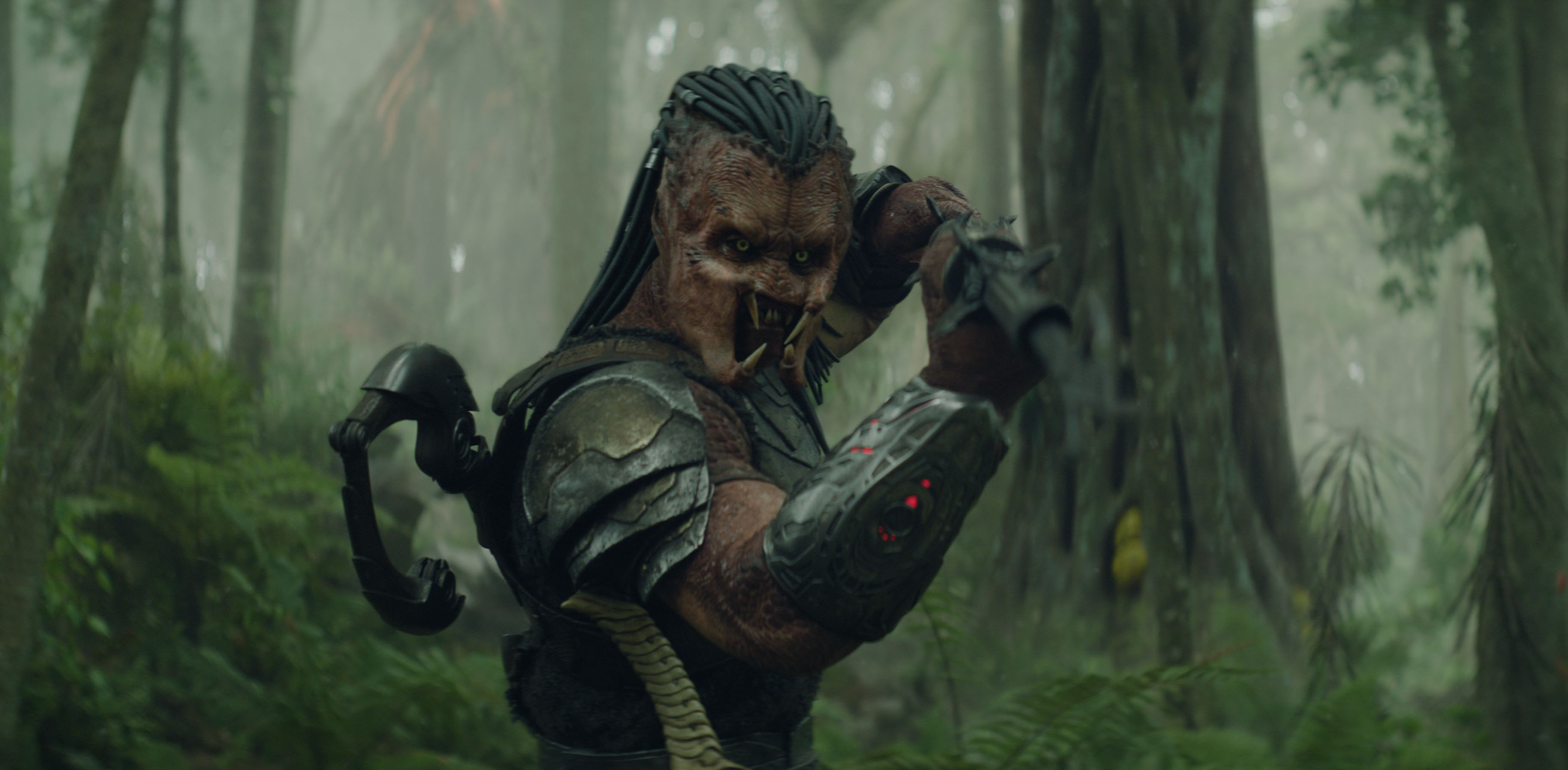 Netflix in de ban van waargebeurde Original, de 8 'Predator'-films van ...